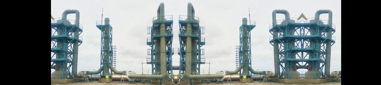 Bs Projects Private Limited , Gujarat - Material Handling | Tata nexarc