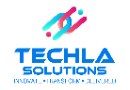 Techla Solutions , Delhi - Business Audit | Tata nexarc
